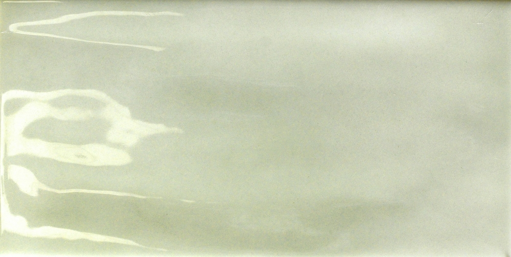 SURFACE ELEVEN-Nature Sage