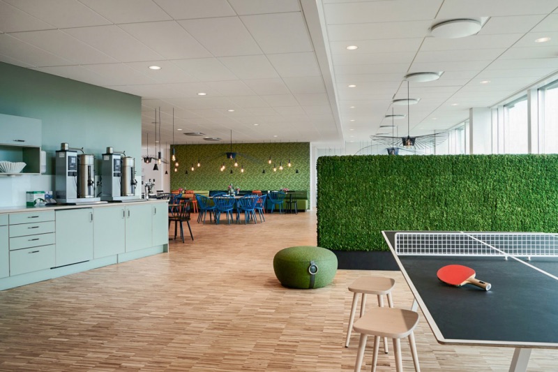 SURFACE ELEVEN-Pixel Moss