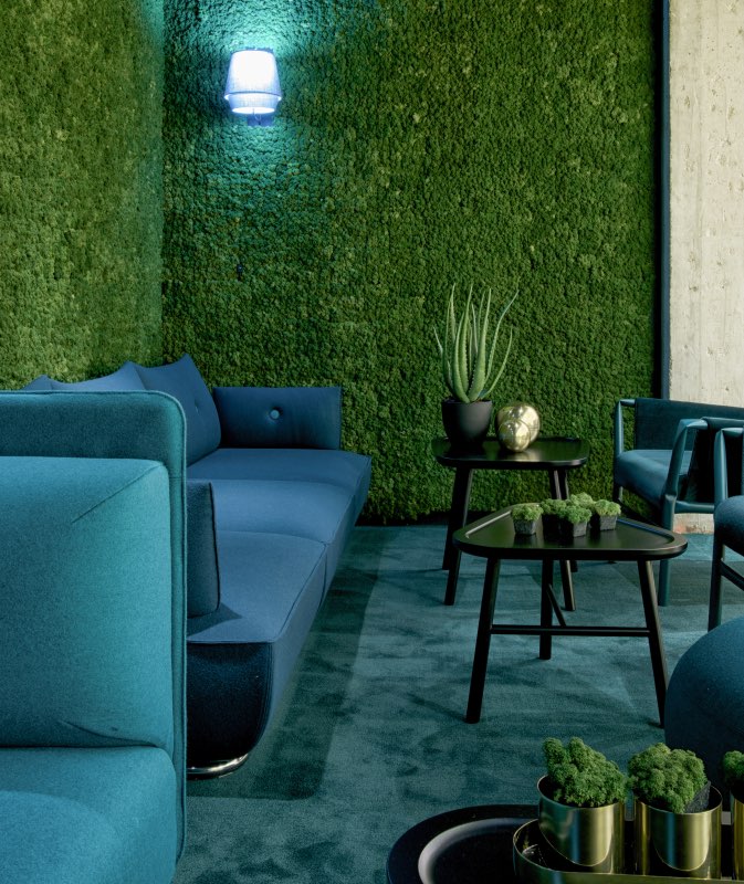 SURFACE ELEVEN-Pixel Moss