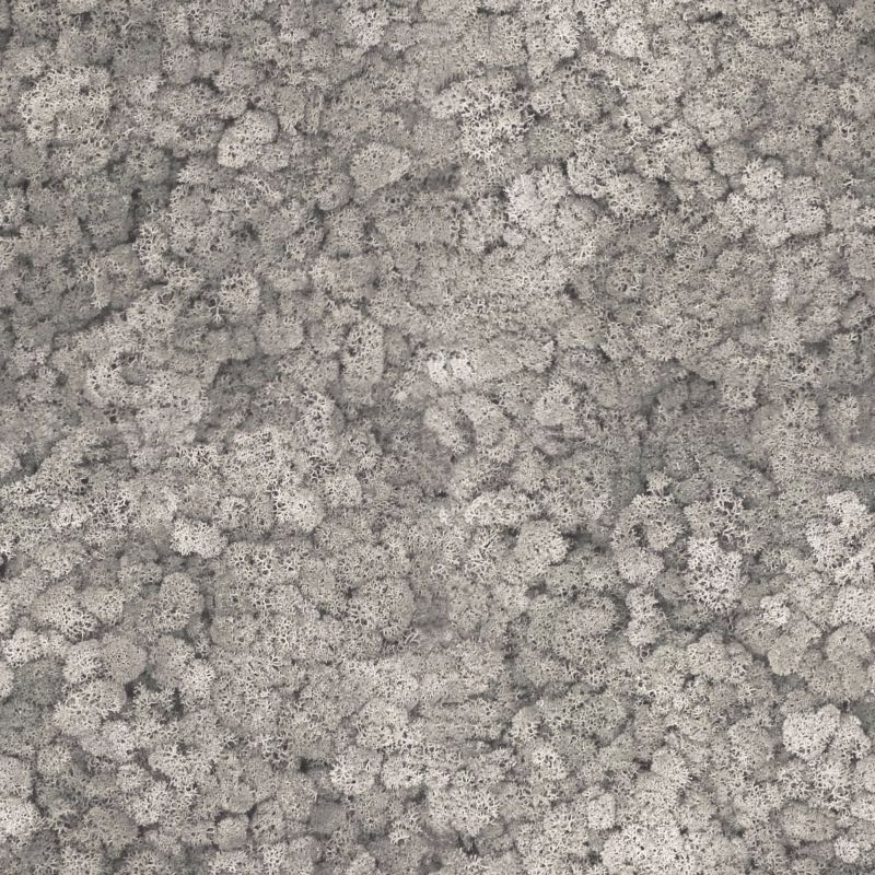 SURFACE ELEVEN-Pixel Granite