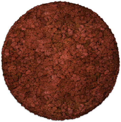 SURFACE ELEVEN-Convex Circle Copper