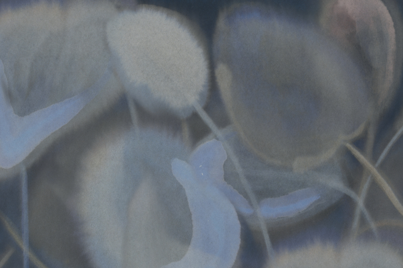 SURFACE ELEVEN-Medusa Vinyl Wall Covering