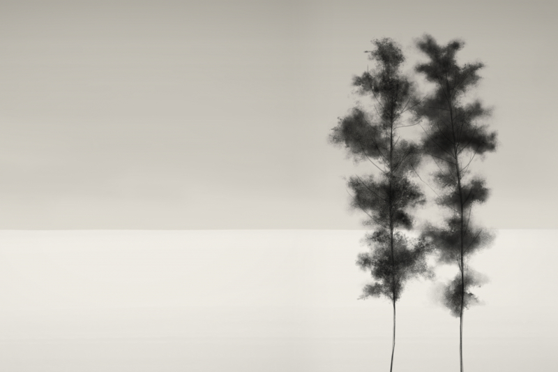 SURFACE ELEVEN-Hologram Vinyl Wall Covering