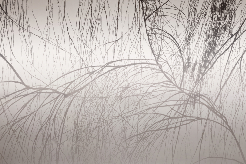 SURFACE ELEVEN-Fabula Vinyl Wall Covering