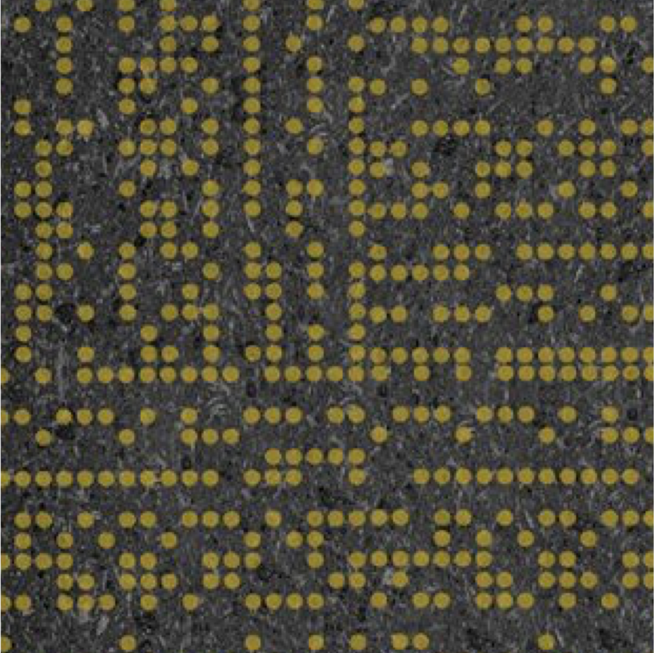 SURFACE ELEVEN-Matrix Ginger