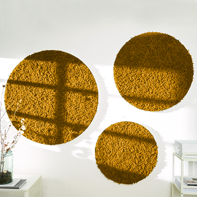 SURFACE ELEVEN-Glade Wall Honey