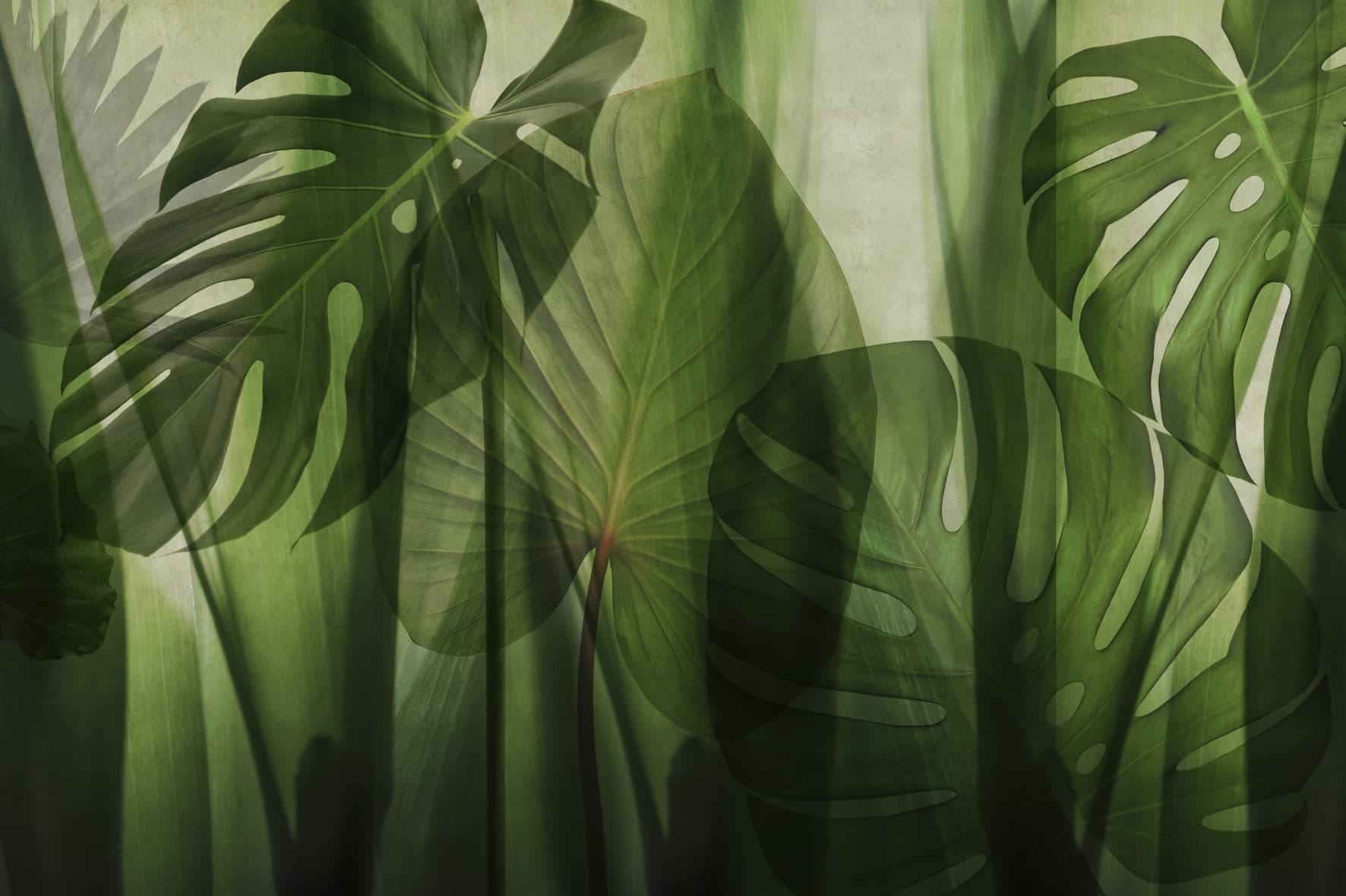 SURFACE ELEVEN-Equatorial Jungle 101