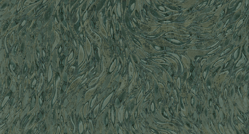 SURFACE ELEVEN-Cascade 2