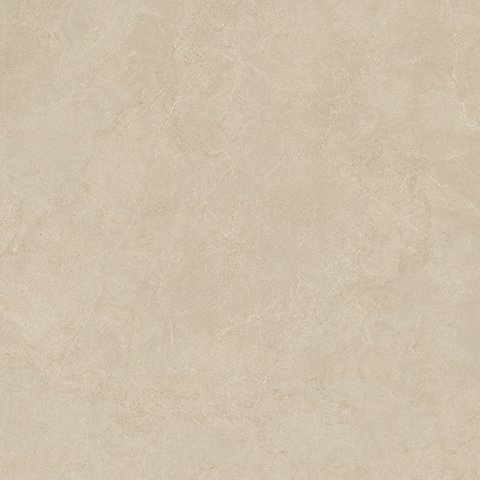 SURFACE ELEVEN-Arkigeo Arena